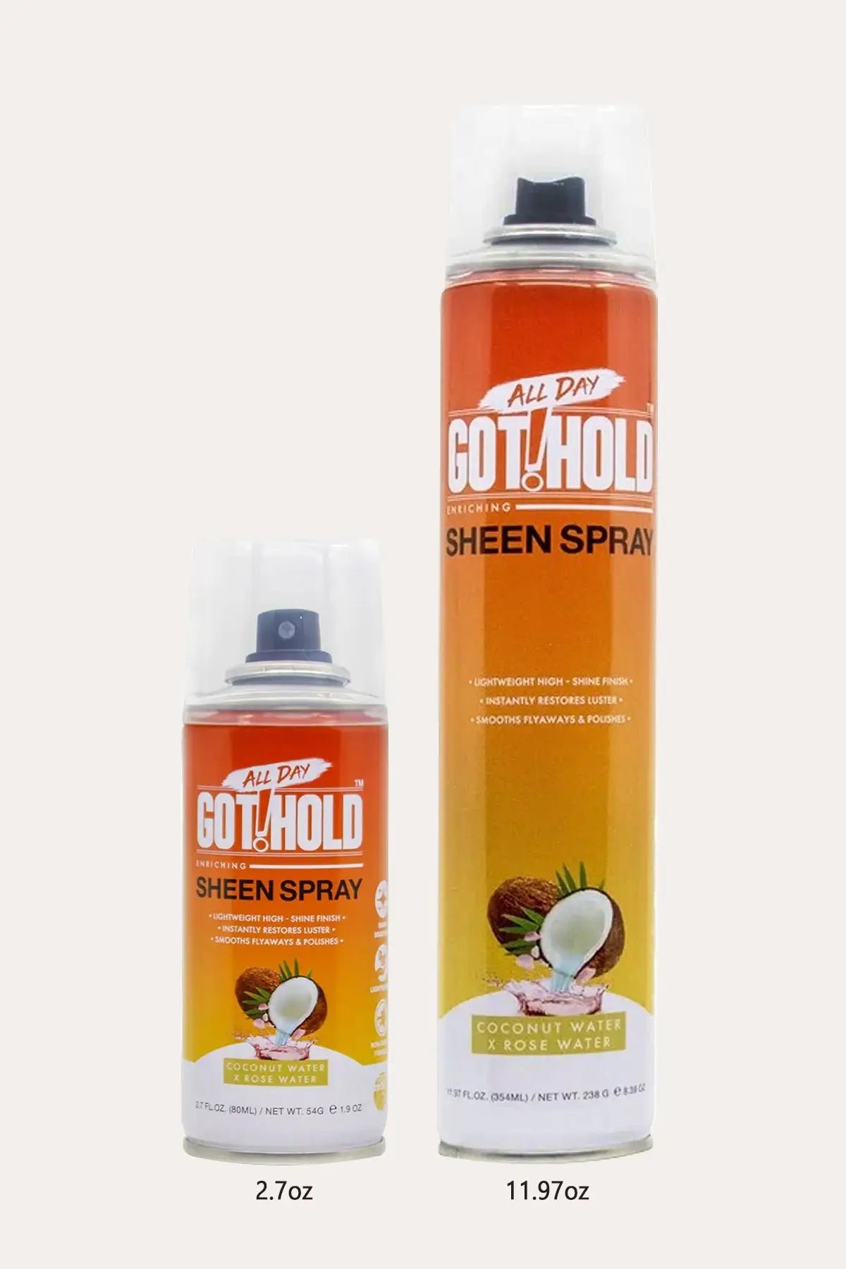 ALL DAY GOT HOLD SHEEN SPRAY